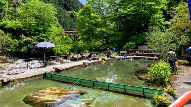 奥多摩TOKYOトラウトカントリーはルアー、フライ、テンカラで1日楽しめる釣り施設 | 管理釣り場ドットコム