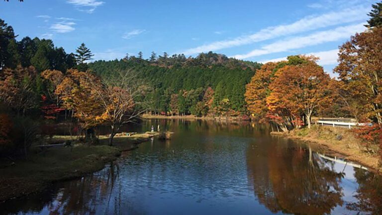 段戸湖【設楽町】 | 管理釣り場ドットコム